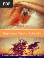 Quantum Vision System | PDF | Glasses | Human Eye