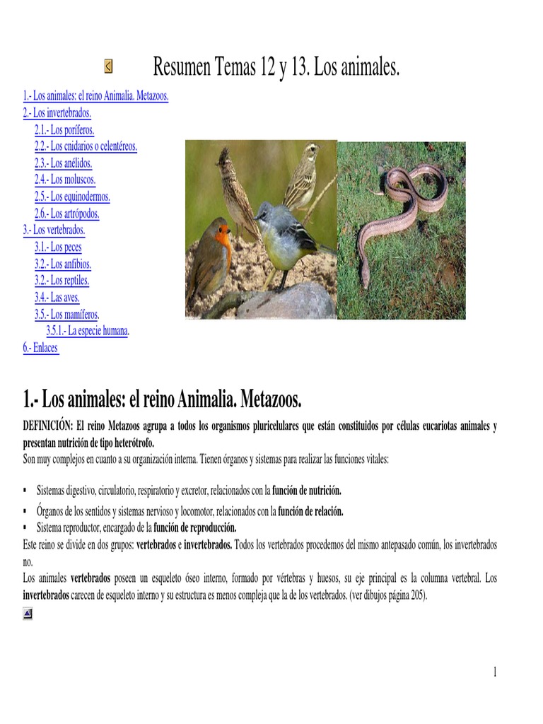 Reino Metazoos Clasificacion. | PDF | Pescado | Vertebrados