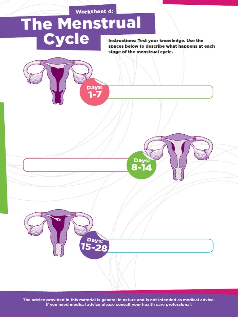 The Menstrual Cycle: Worksheet 4 | PDF | Wellness | Science & Mathematics