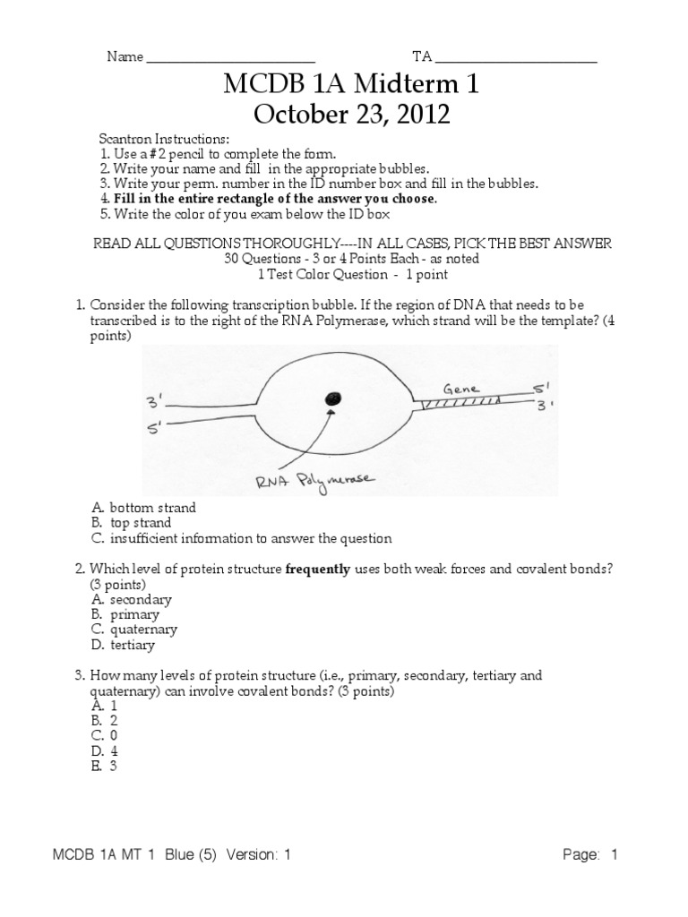 Deciphering the Genetic Code: Analysis of Synthetic RNA Experiments | PDF | Rna | Dna Replication