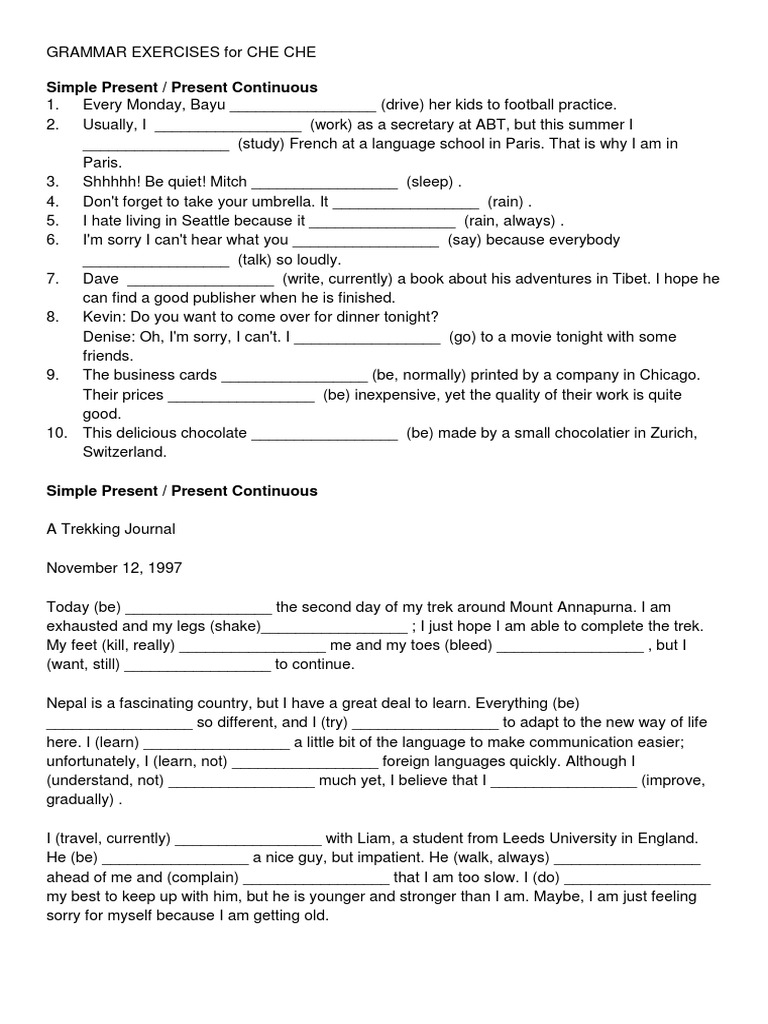 Grammar Exercise | PDF