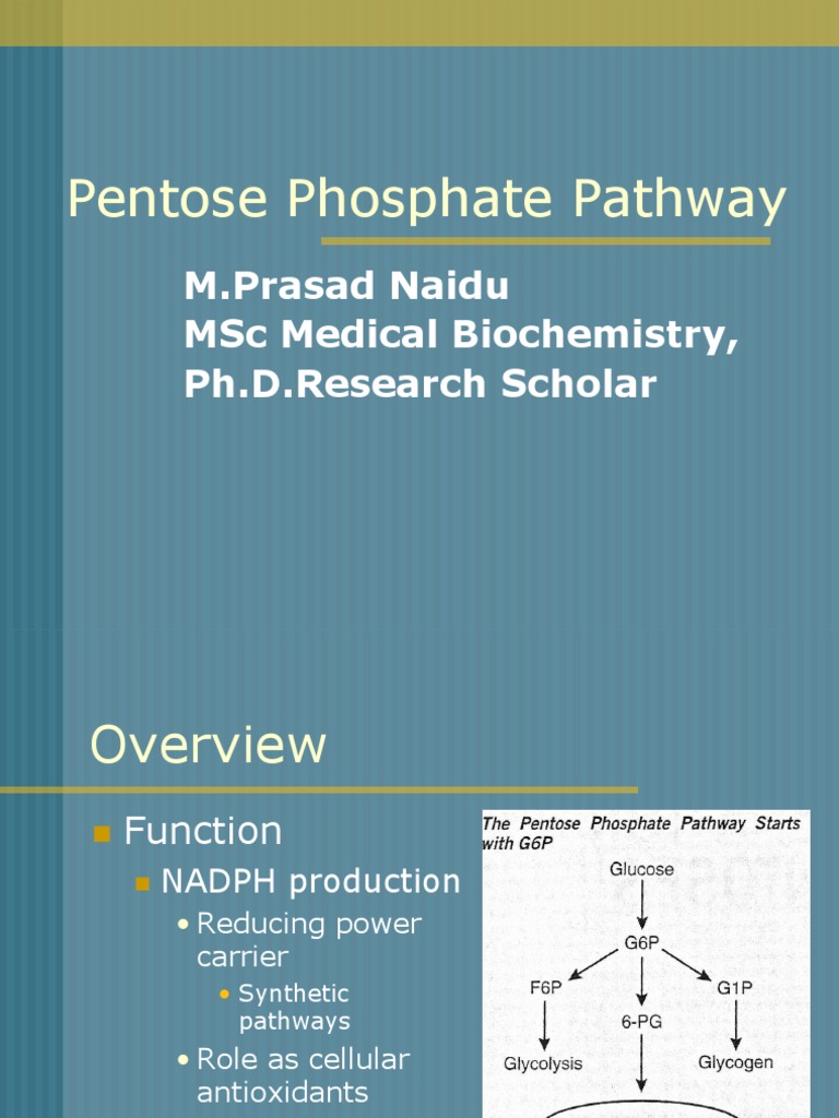 Pentose Phosphate Pathway: M.Prasad Naidu MSC Medical Biochemistry, Ph ...