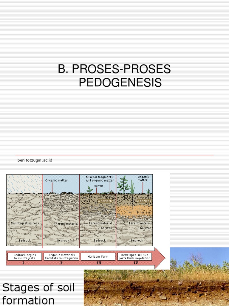 Proses Pedogenesis dan Pembentukan Tanah | PDF | Ilmu Sosial