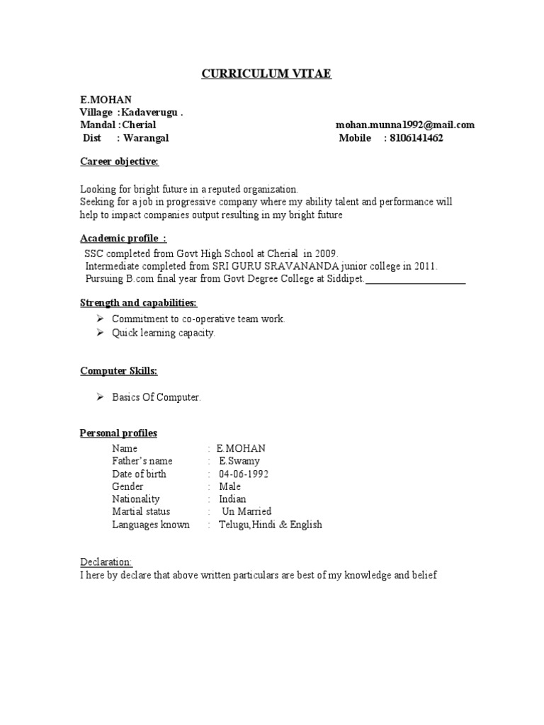 E. Mohan's Professional CV | PDF