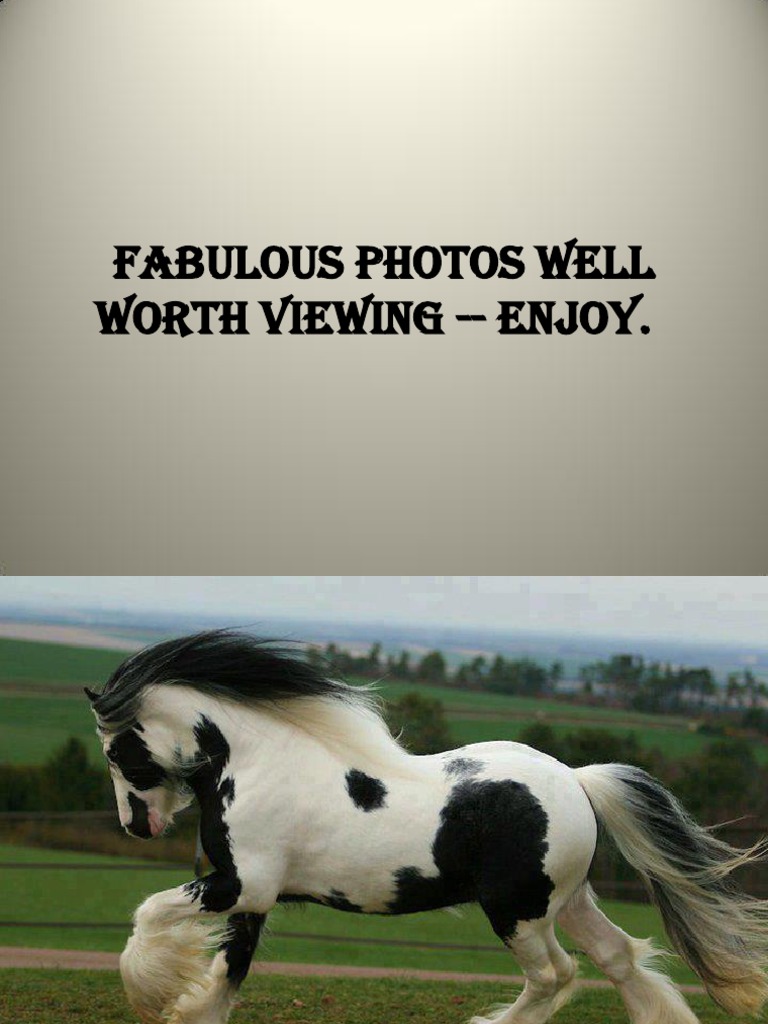 Fabulous Photos Well Worth Viewing | PDF | Nature
