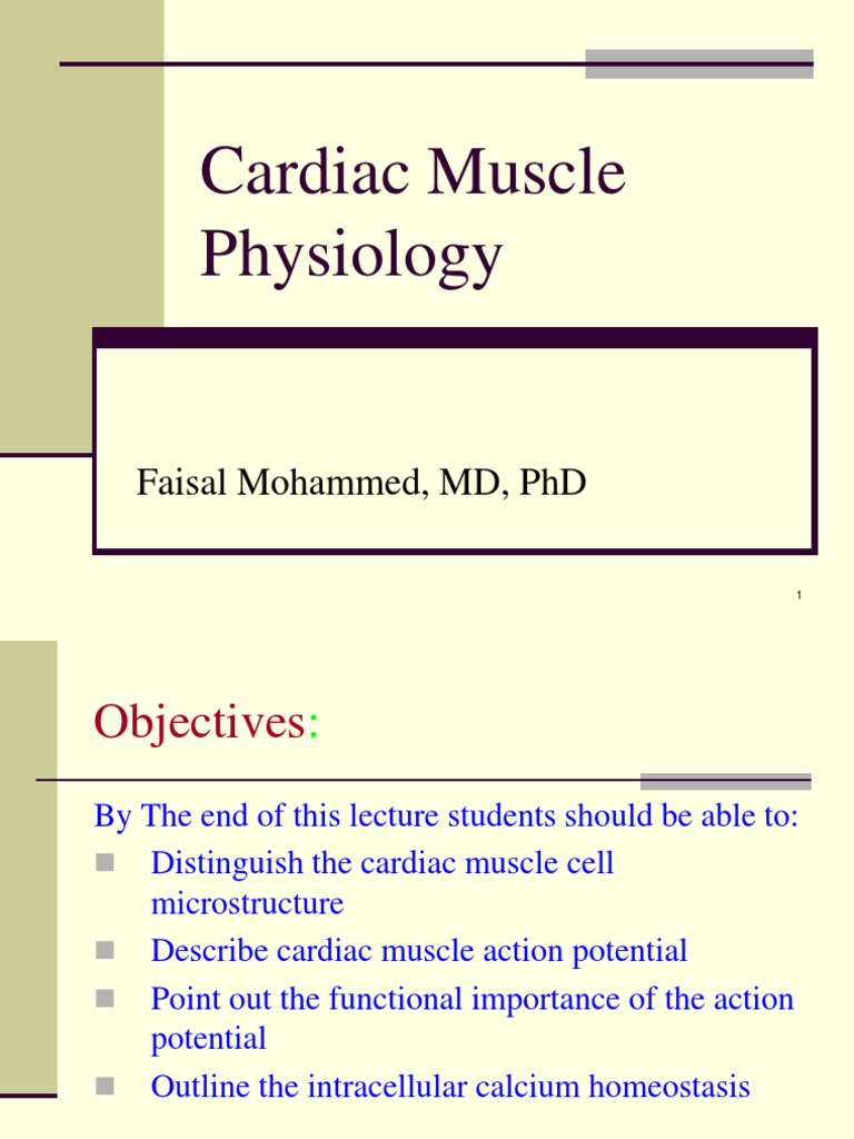 Cardiac Muscle Physiology - Students | PDF