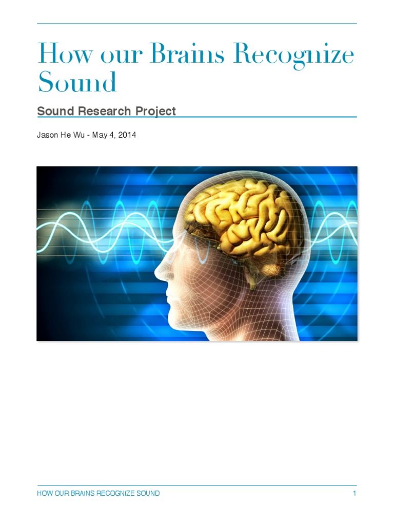 School Report 1 | PDF | Ear | Auditory System