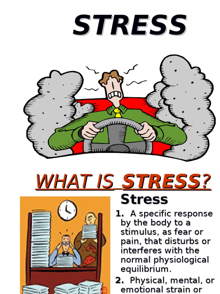 What Is Stress? | PDF | Relaxation (Psychology) | Stress (Biology)
