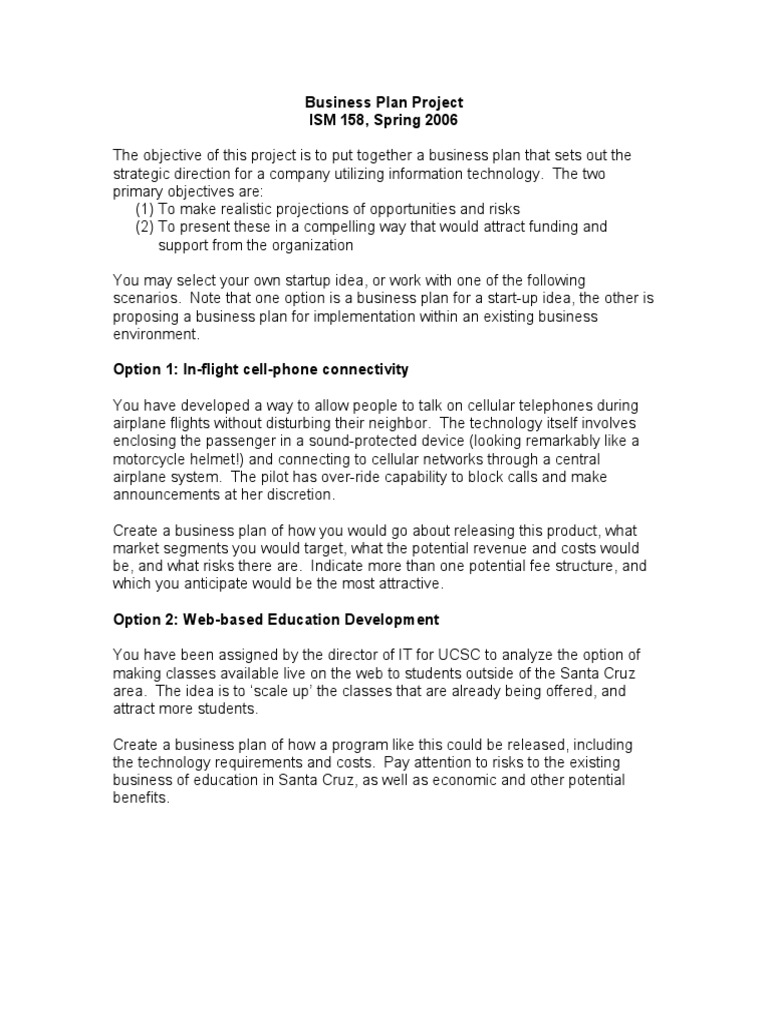 Business Plan Project | PDF