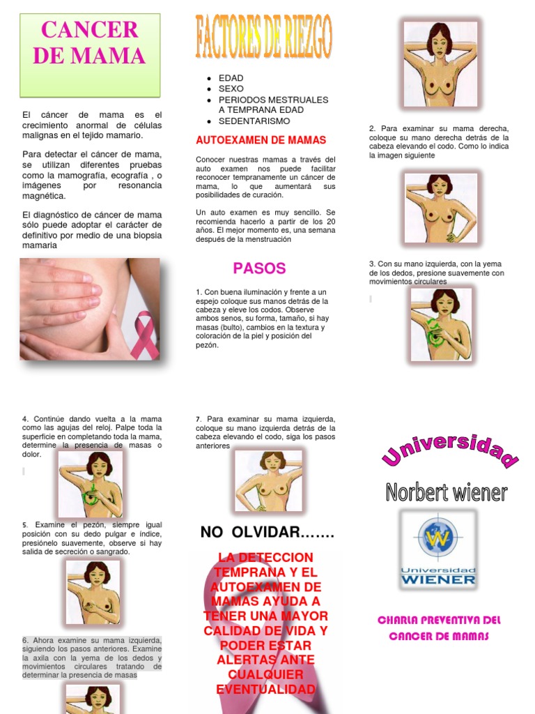 Triptico Mamas | PDF | Cáncer de mama | Pecho