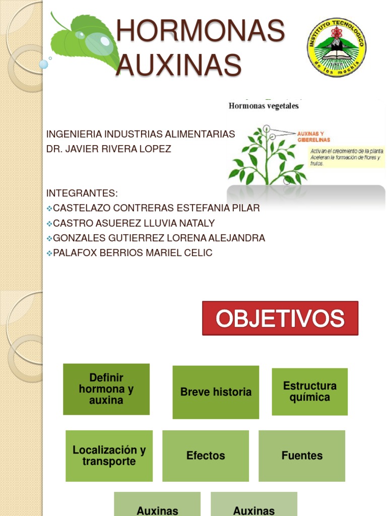 HORMONAS AUXINAS - Listo Terminadoo Milll | PDF | Auxina | Plantas