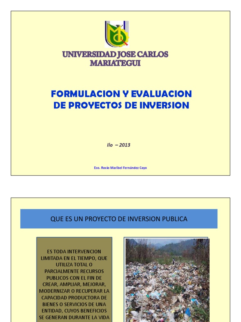 Proyectos Rocío Maribel 1 | PDF | Riego | Beneficio (economía)