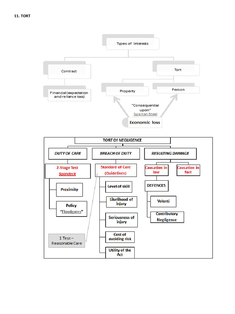 Business Law - Tort Notes | PDF | Duty Of Care | Negligence