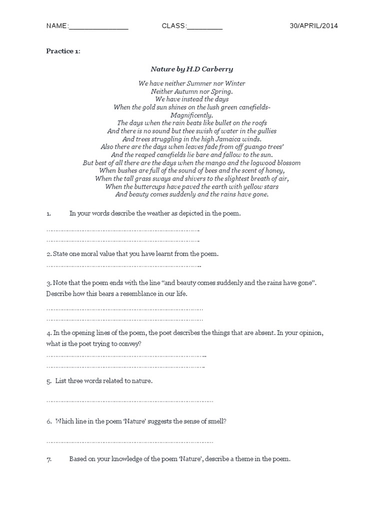 Grade 10 English Literature Exercise | PDF