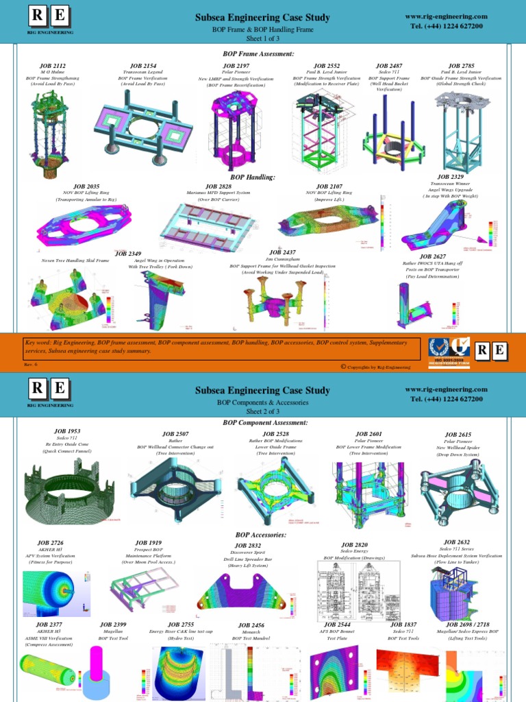 Subsea Engineering Case Study | PDF | Subsea (Technology) | Science