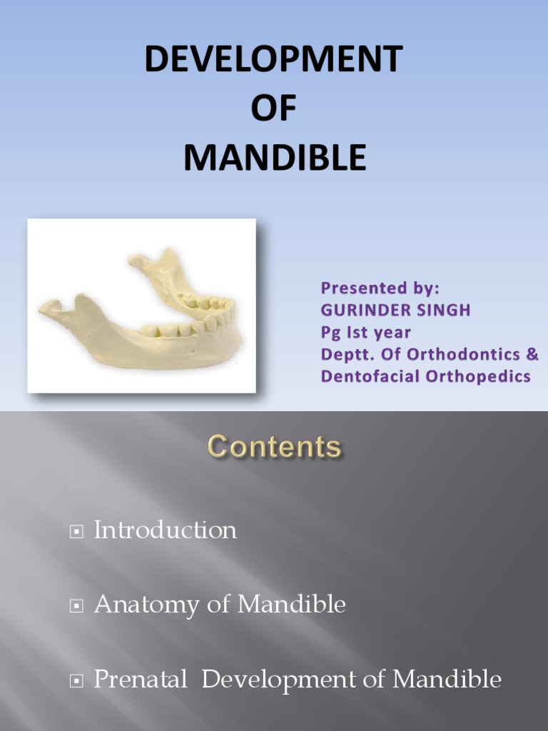 Mandible Development: Anatomy & Growth | PDF | Human Head And Neck ...
