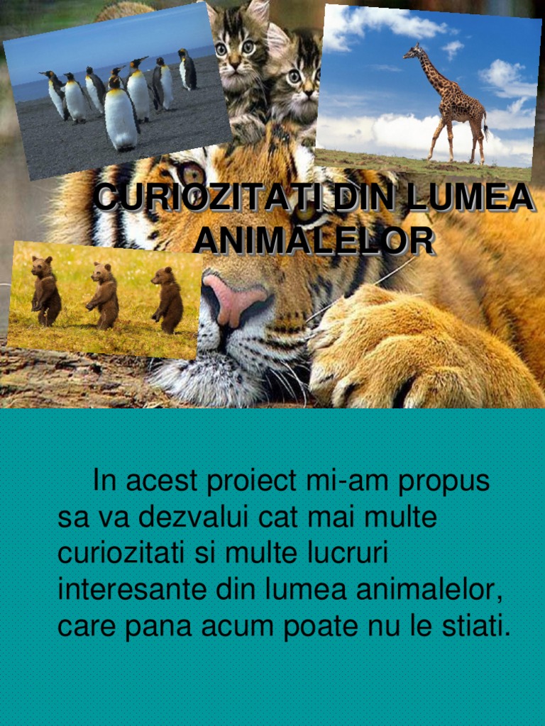 Curiozitati Din Lumea Animalelor Curiozitati Din Lumea Animalelor