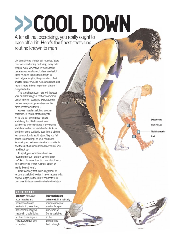 The Complete Guide to Increasing Flexibility and Range of Motion ...