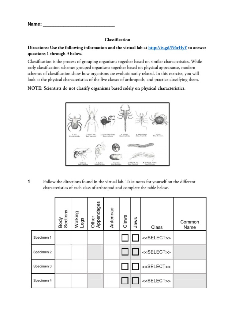 3.03 Lab Classification | PDF | Taxonomy (Biology) | Reptile