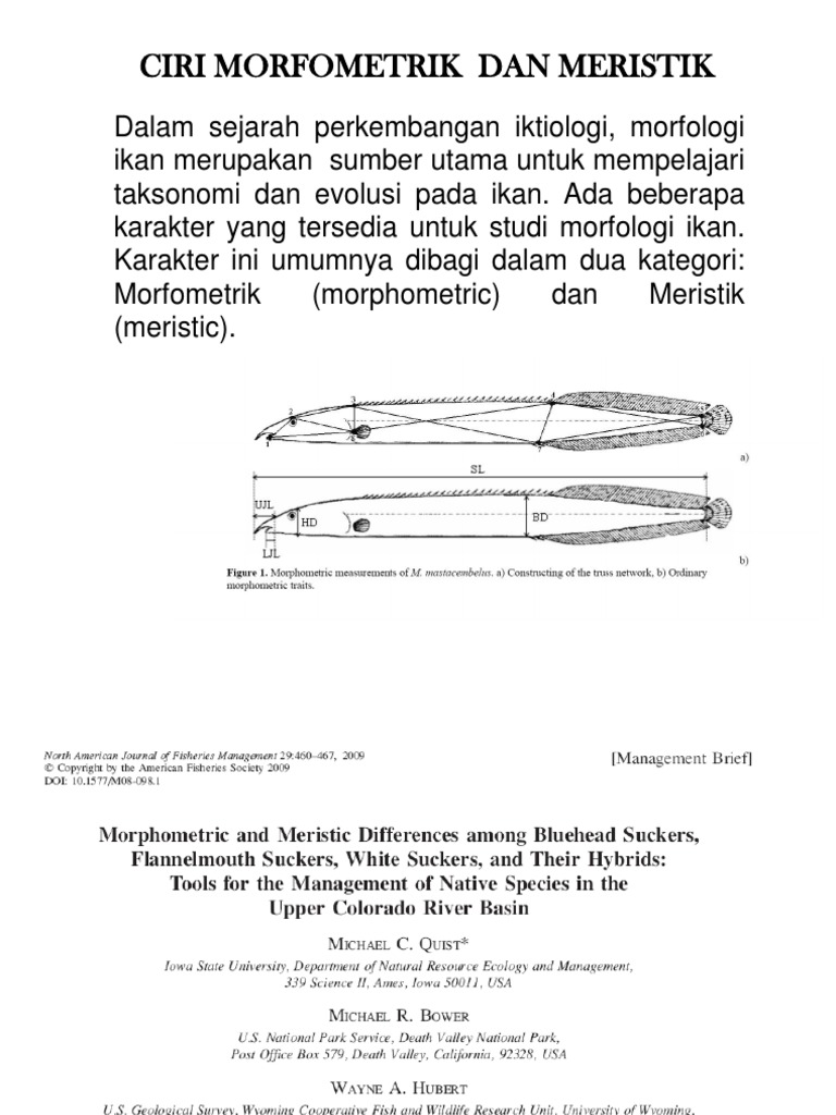 Ciri Morfometrik dan Meristik Ikan | PDF
