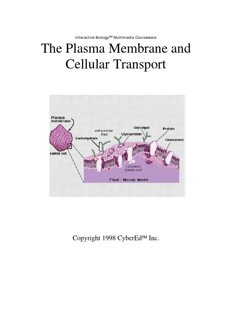 PlasmaMembrane and Cellular Transport | PDF