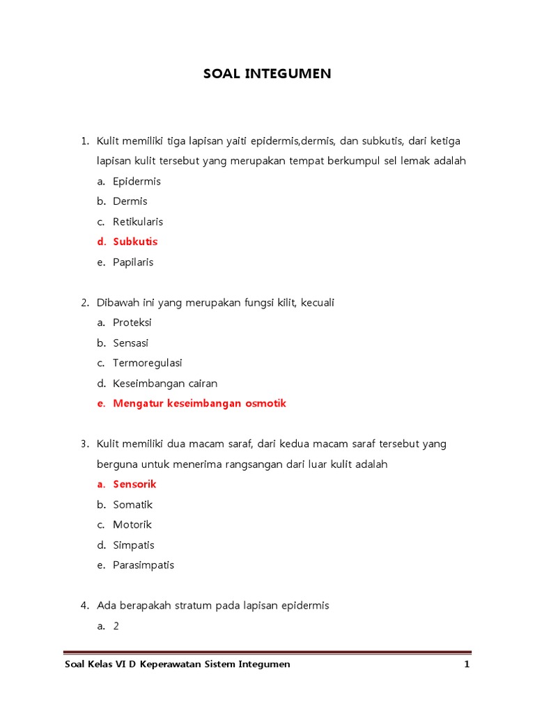 Soal Kelas VI D Sistem Integumen | PDF