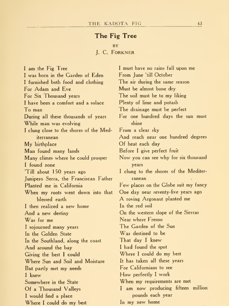 The Fig Tree Poem by JC Forkner Chairman State Irrigation Commission ...