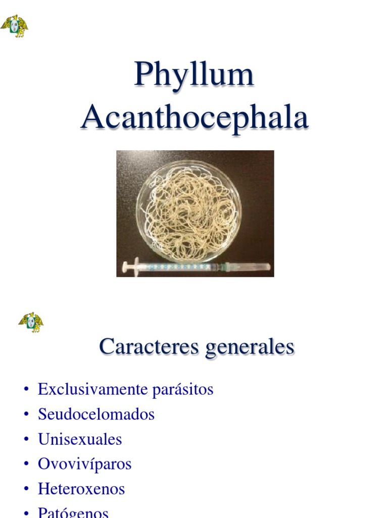 Acantocefalos | Naturaleza | Bienestar