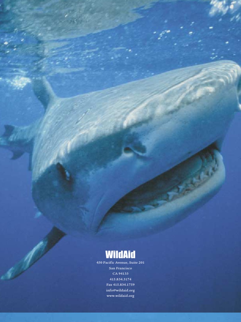The End of The Line Wildaid | PDF | Sharks | Overfishing