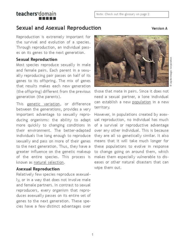 Sexual and Asexual Reproduction Practice | PDF | Reproduction | Sexual ...