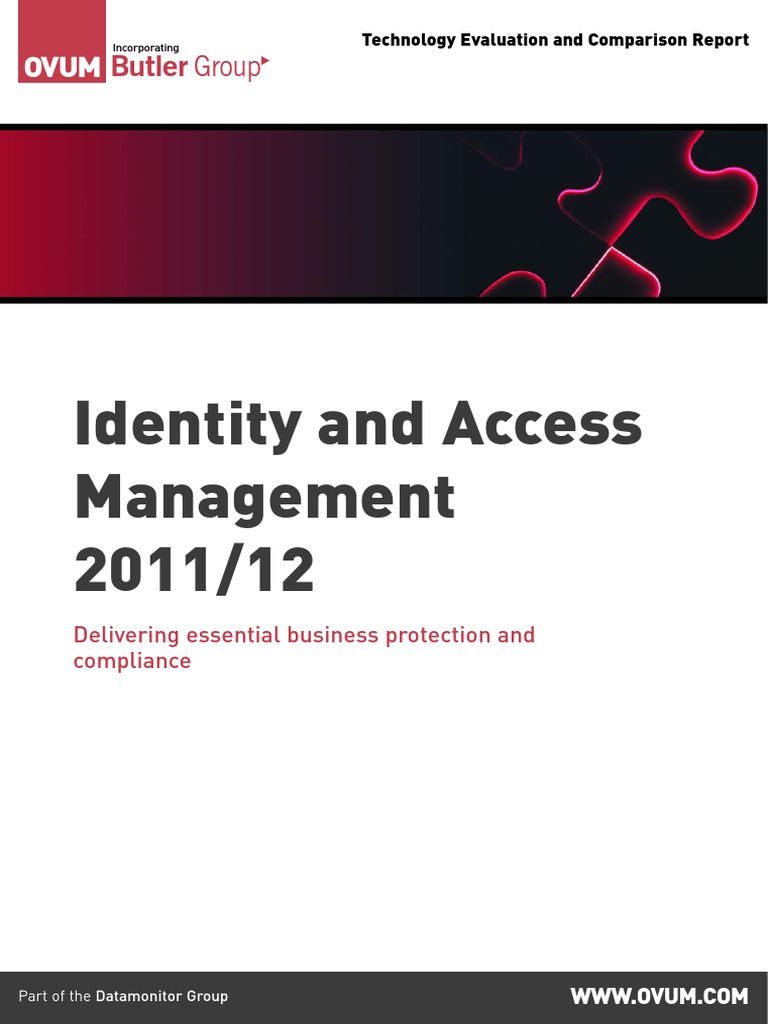 Information Security - IAM Strategy | PDF | Cloud Computing | Provisioning