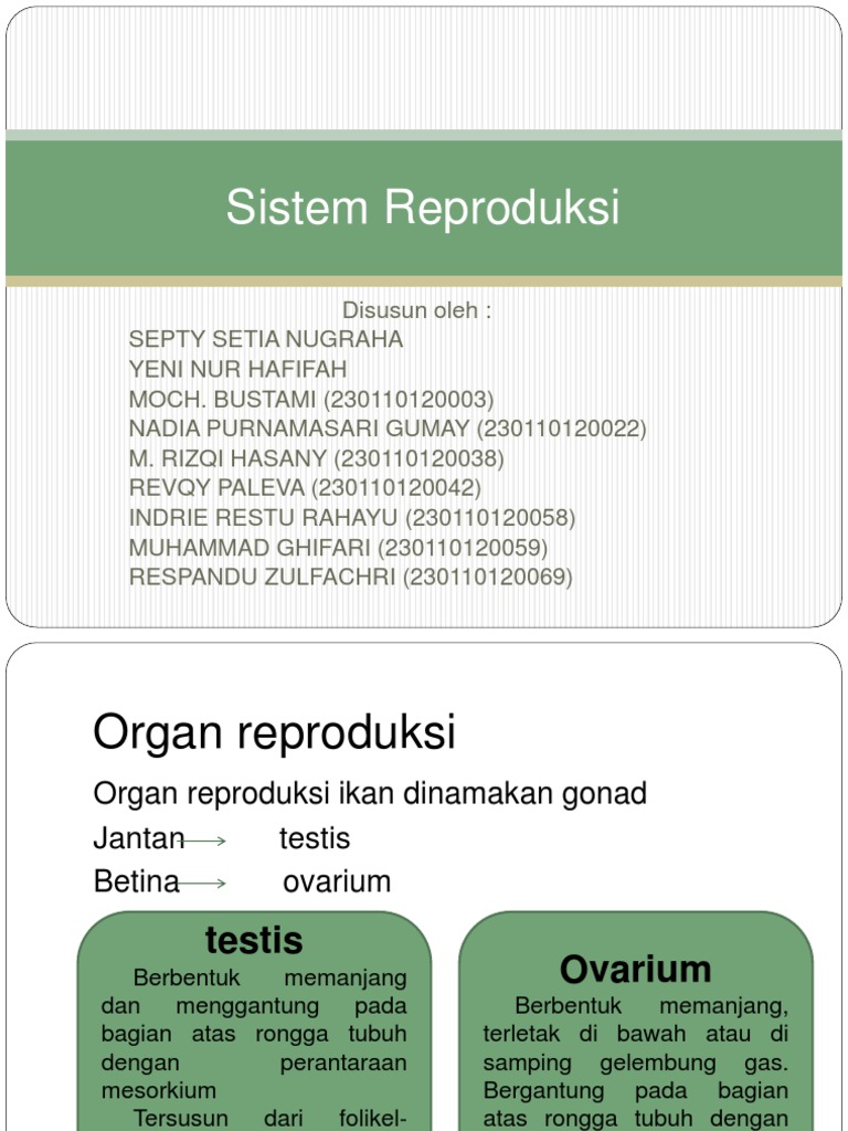 Sistem Reproduksi Ikan Ikan Ikan Ikan | PDF