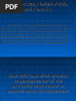 Lab Report - Identification of Unknown Bacteria - Updated | PDF ...