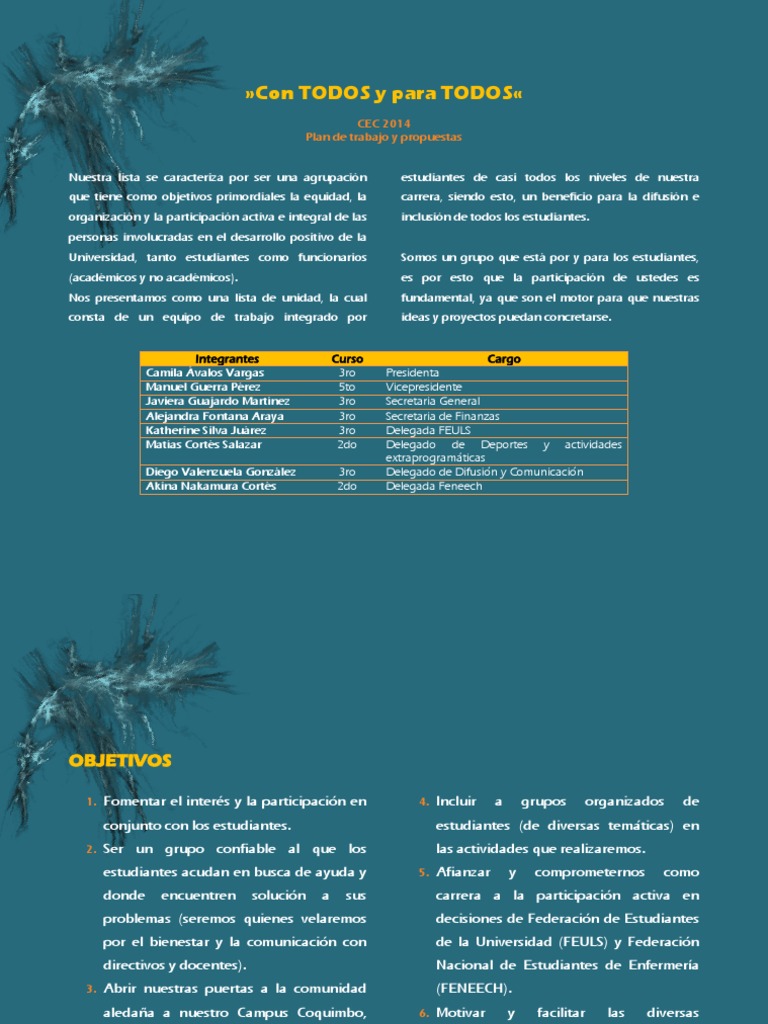 Plan de Trabajo y Propuestas Lista Cec | PDF | Enfermería | Science