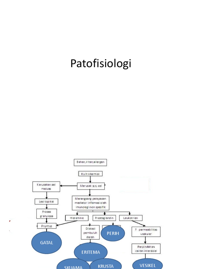 Patofisiologi Dermatitis Kontak Iritan | PDF