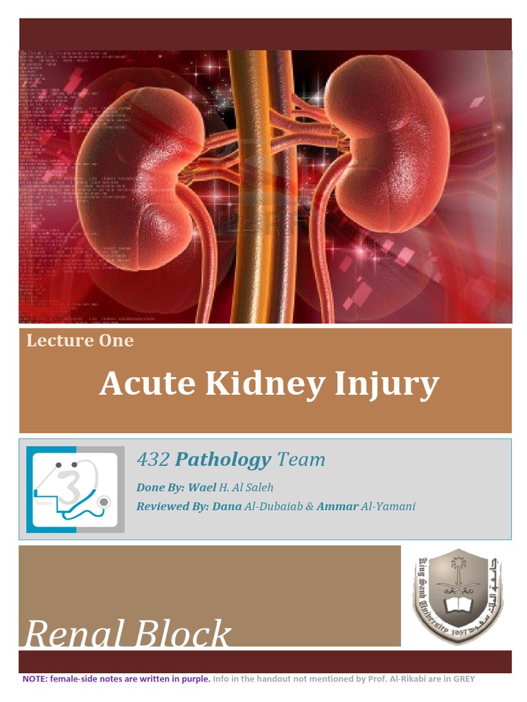 Acute Kidney Injury Overview | PDF | Kidney | Internal Medicine