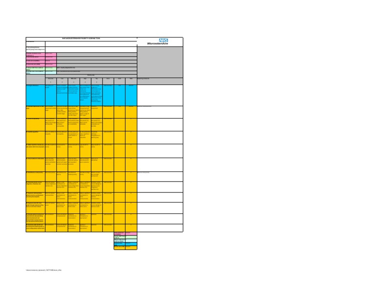 Nhs Worcestershire Priority Scoring Tool | PDF | Healthcare Management ...