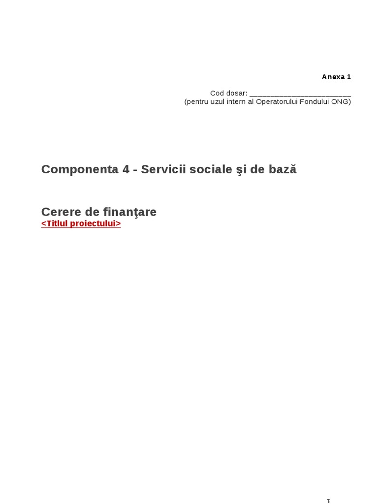 Model Cerere de Finantare | PDF