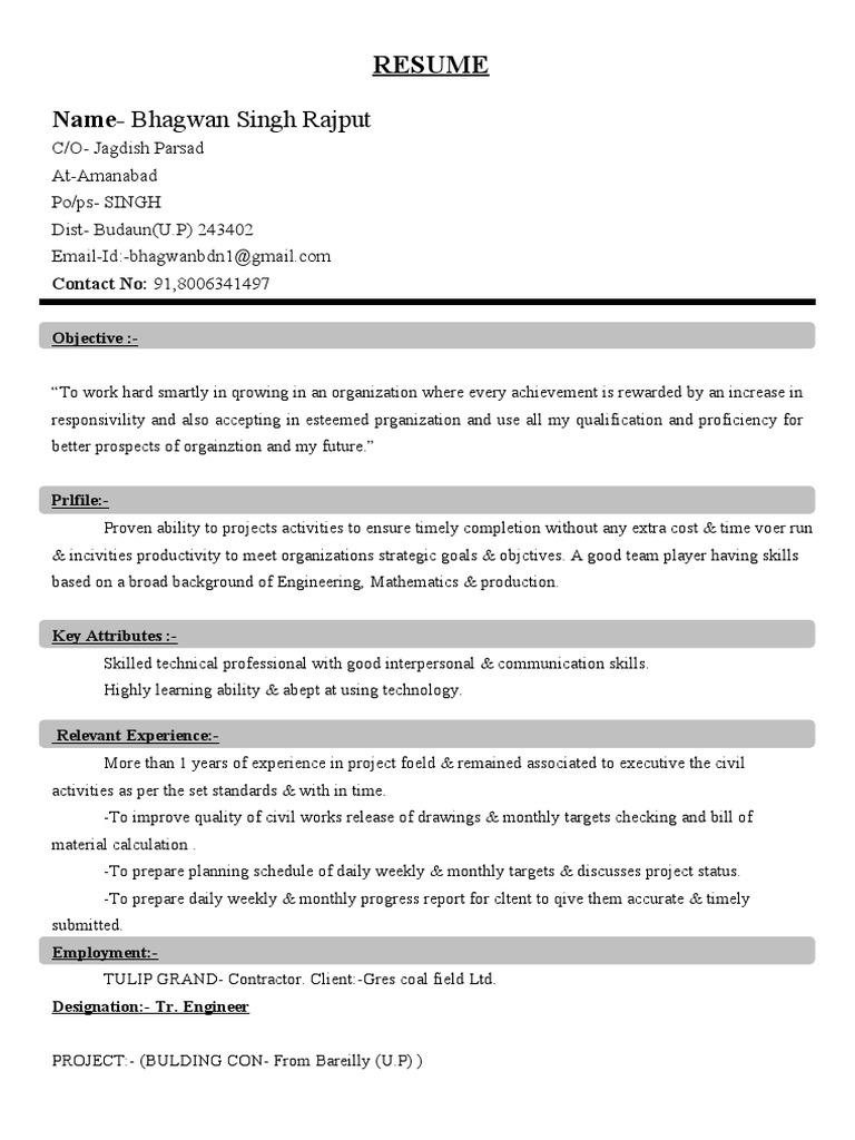 Name-Bhagwan Singh Rajput: Resume | PDF