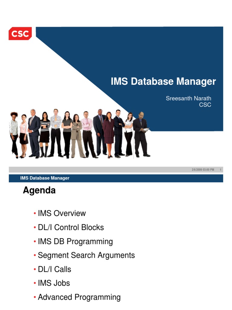 IMS Database Manager: Sreesanth Narath CSC | PDF | Databases | Areas Of Computer Science