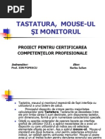 Dispozitive Periferice de Intrare Iesire | PDF