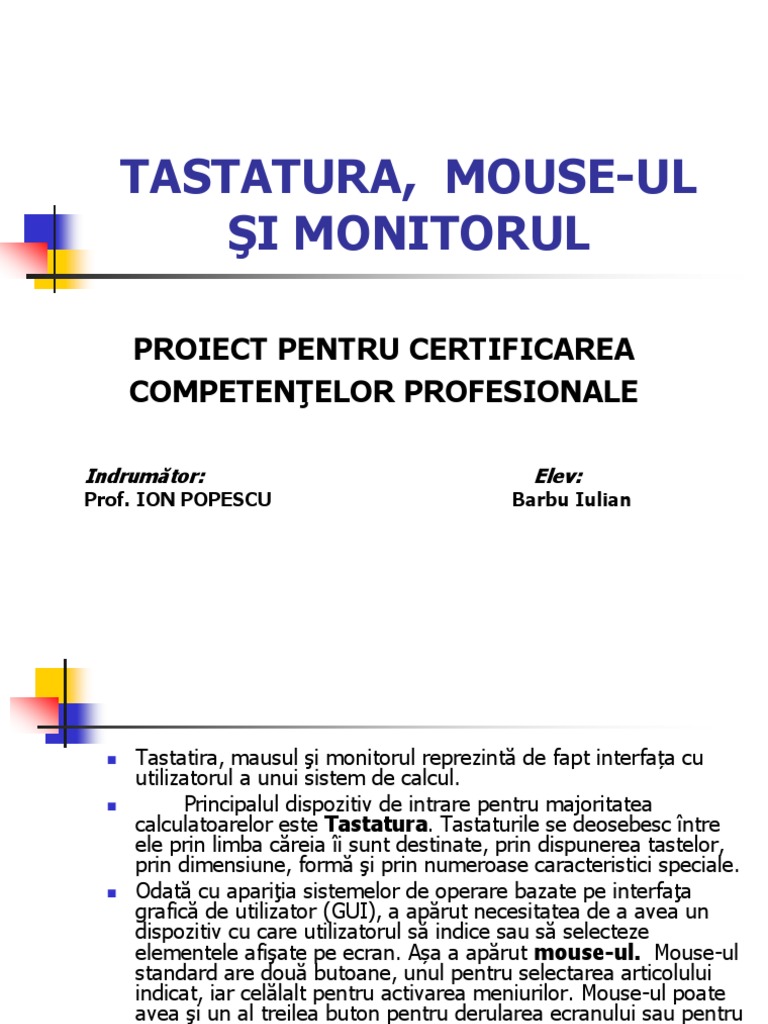 Tastatura, Mouse-Ul Şi Monitorul | PDF