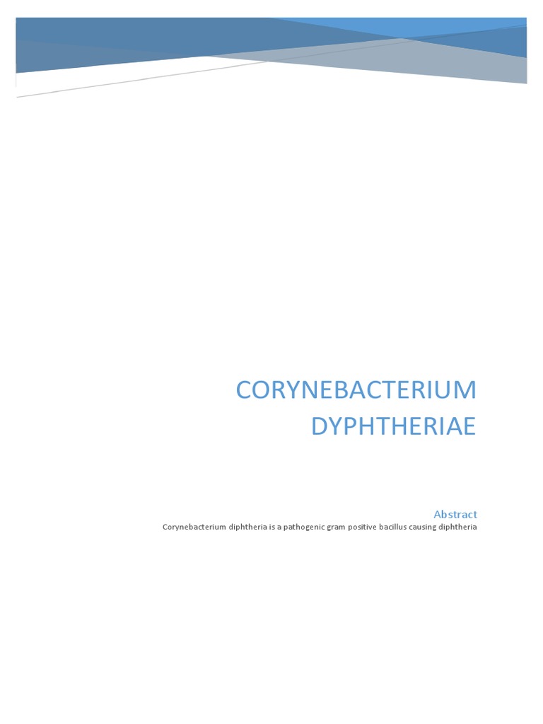 Corynebacterium Diphtheriae | PDF | Microbiology | Immunology