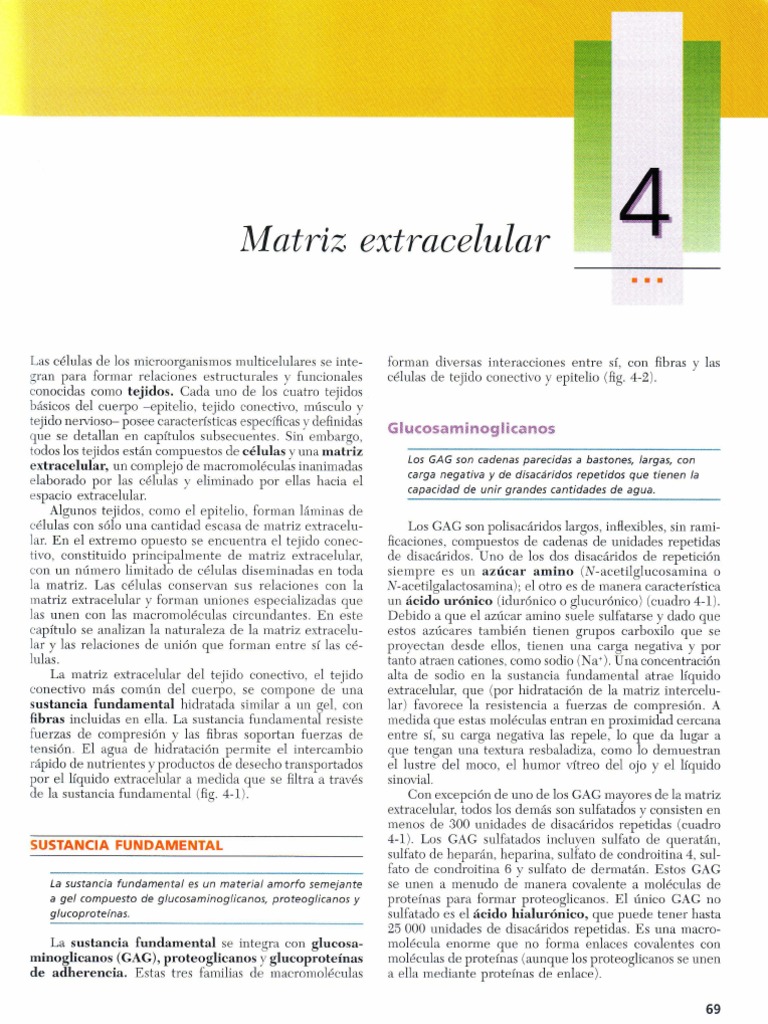 Cap 04 - Matriz Extracelular | PDF