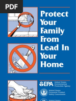 Protect Your Family from Lead Hazards | PDF | Lead | Fetus