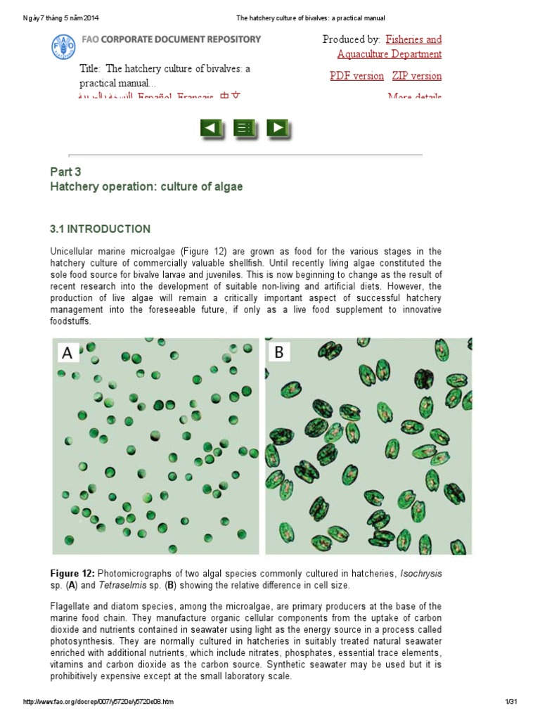 Bivalve Hatchery Culture Manual | PDF | Lighting | Sterilization ...