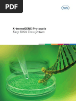 Lipofectamine MessengerMAX Man | PDF | Messenger Rna | Transfection