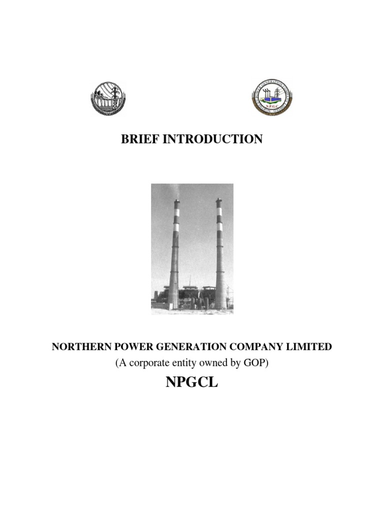 NPGCL - Units in Pakistan | PDF | Power Station | Current Liability