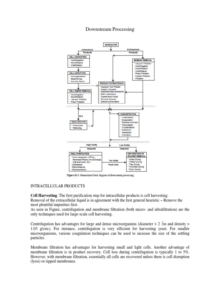 Downstream Processing | Filtration | Chromatography