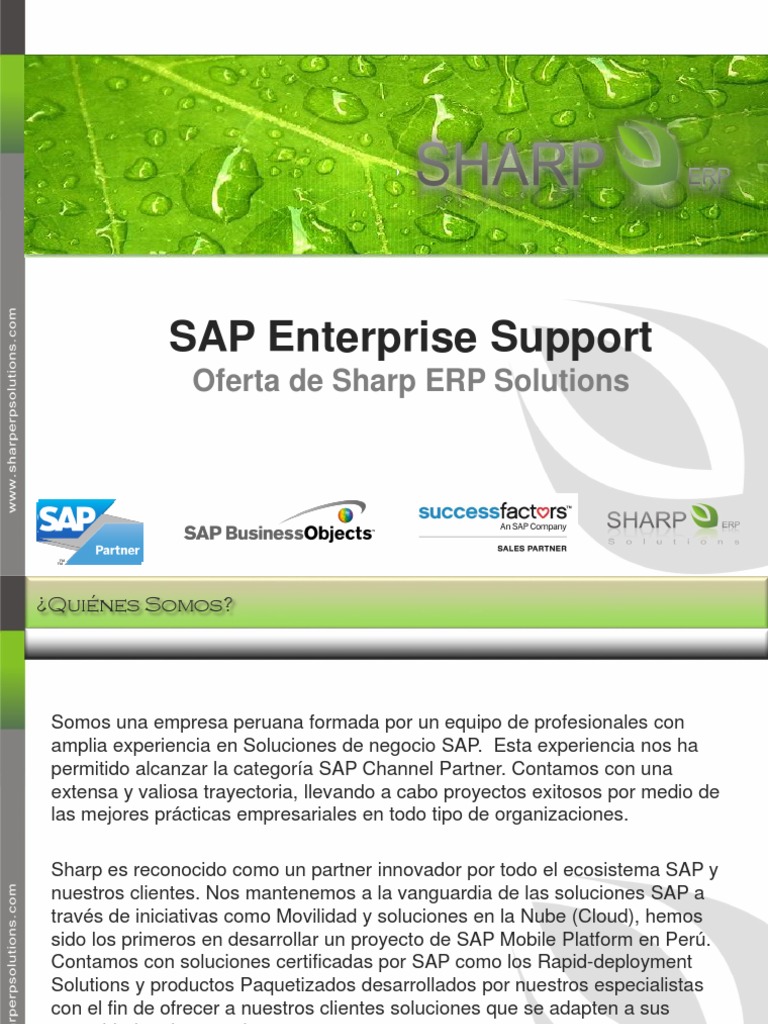 Presentacion Soporte Sharp ERP Solutions v0.2 PDF | PDF | Sap Se ...
